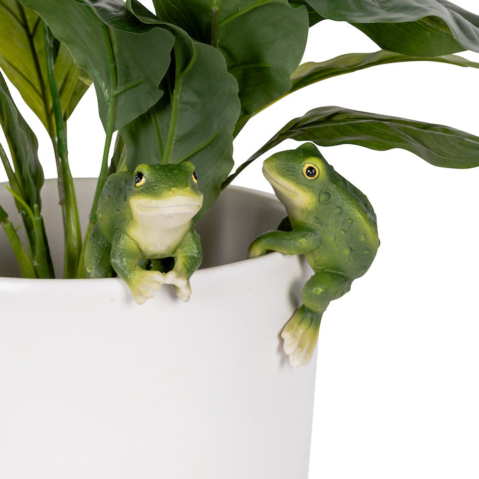 Frog Pot Sitters – Whatever Mudgee