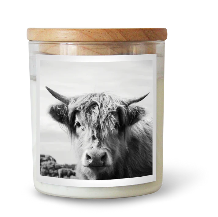 The Highland Cow Candle – Whatever Mudgee