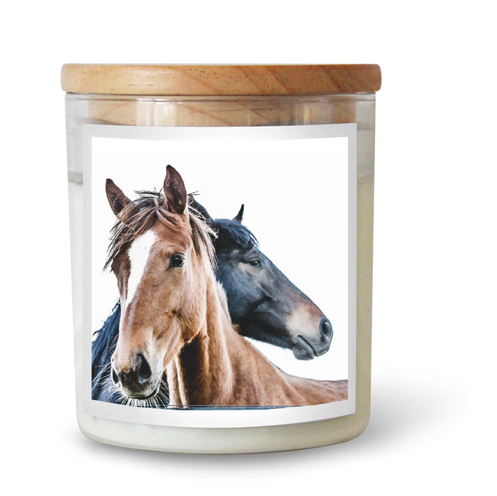 The Horse Candle – Whatever Mudgee