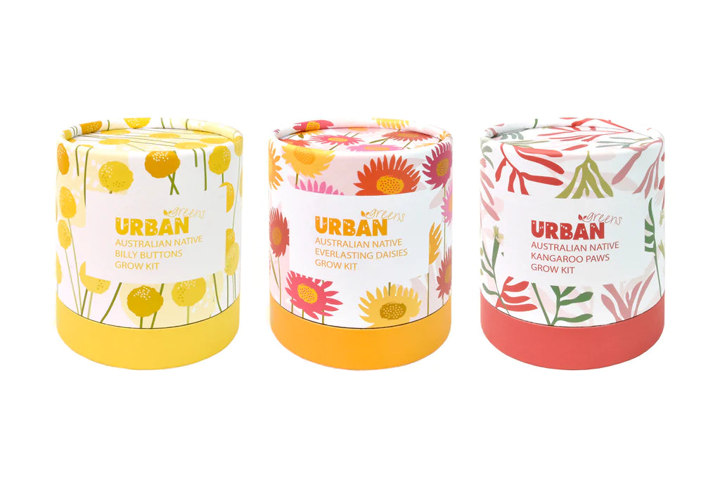 Australian Native Grow Kit – Whatever Mudgee