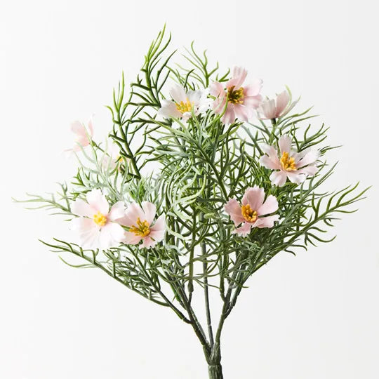 Cosmos Bush – Whatever Mudgee