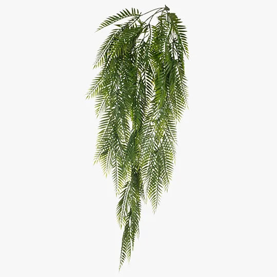 Fern Hanging Bush – Whatever Mudgee