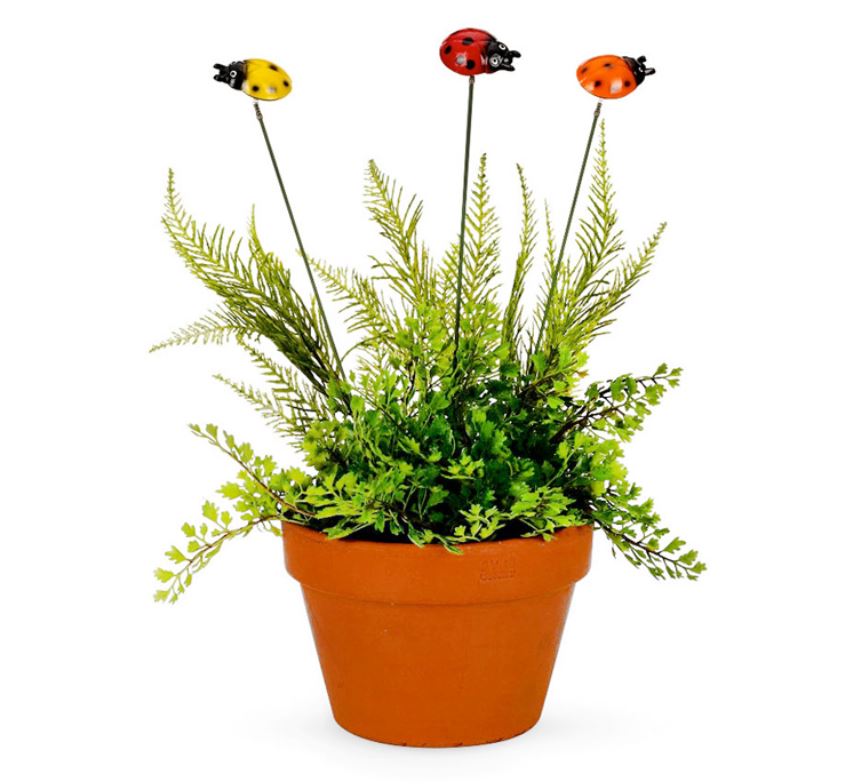 Ladybug on Stick – Whatever Mudgee