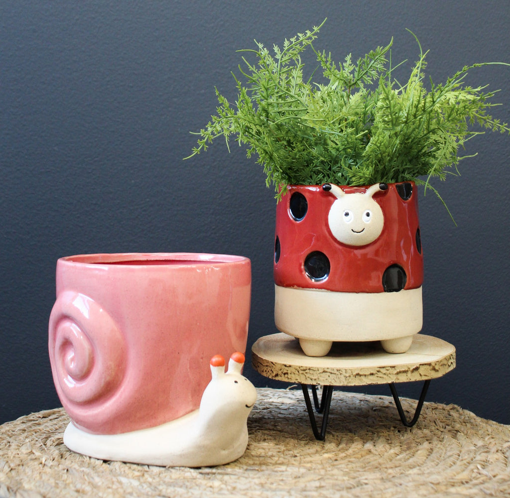 Ladybird Planter | Red | 11cm – Whatever Mudgee