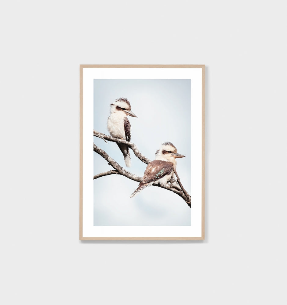 Kookaburra Pair | Framed Print – Whatever Mudgee